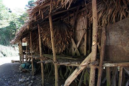 Nishi Tribe, Information about Nishi Tribe